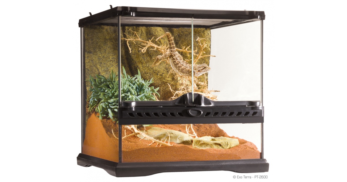 Exo Terra Mini terraario | HELSINGIN AKVAARIOKESKUS KY